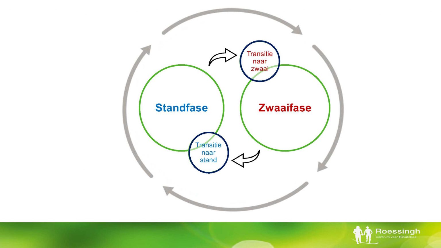 Functionele diagnostiek en behandeling van loopstoornissen na CVA – Revalidatie.nl