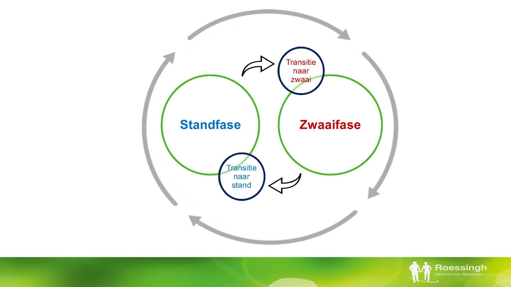 Functionele diagnostiek en behandeling van loopstoornissen na CVA ...