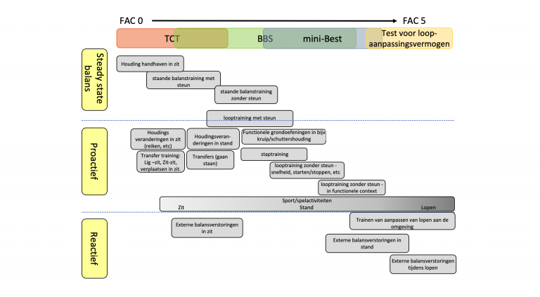 Training ter verbetering van balans en loopvaardigheid na CVA – Revalidatie.nl