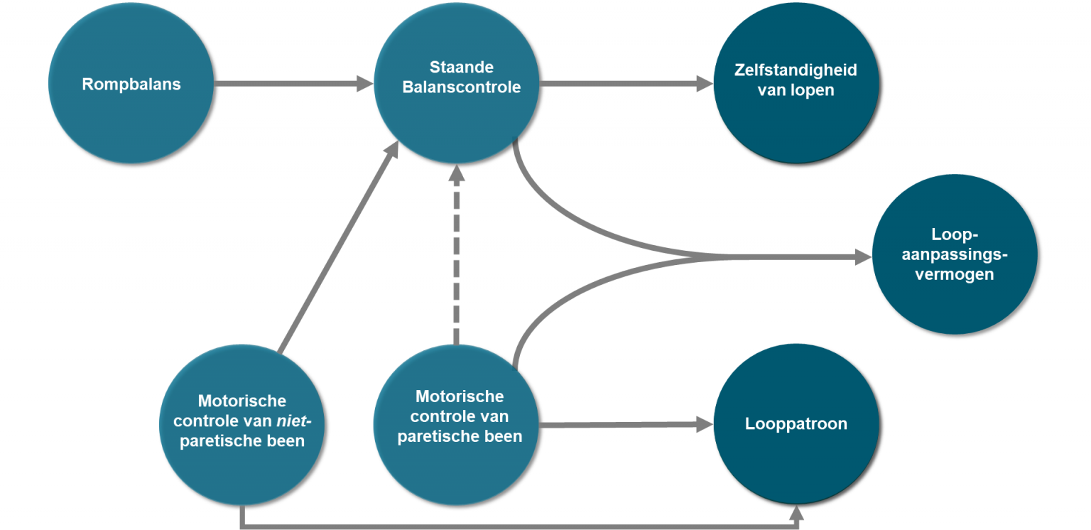 Herstel van loopvaardigheid na een CVA – Revalidatie.nl